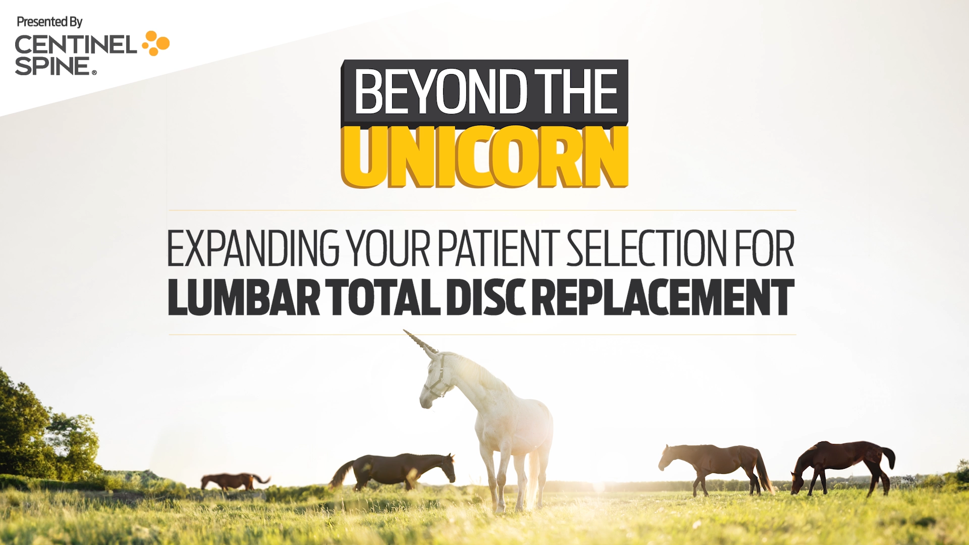 Centinel Spine | For prodisc® Motion-Preservation/Disc Arthroplasty and ...